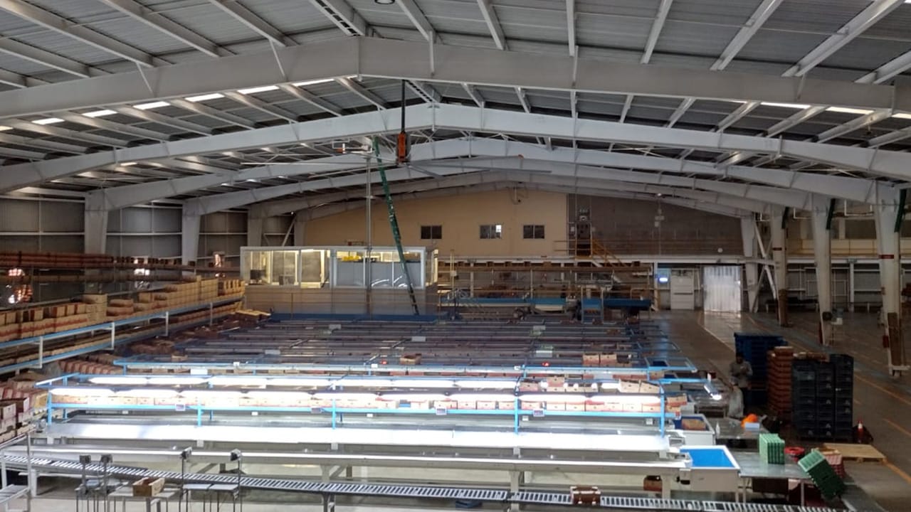 Beat the Heat How Large Fans Revolutionize Warehouse Cooling Efficiency ...