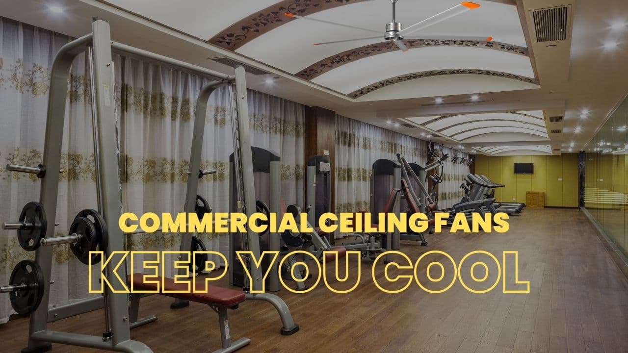 8 Best Fans of GYMS: Keep You Cool and Focused on Your Workouts ...