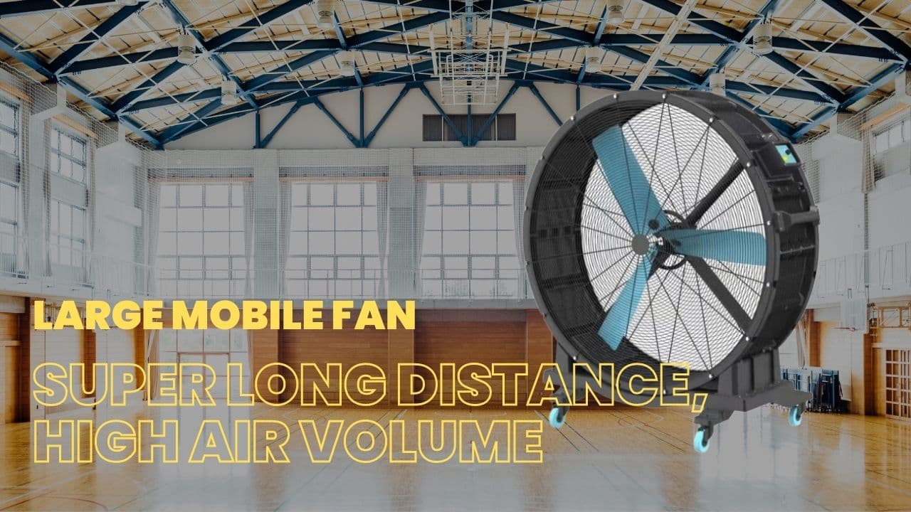 8 Best Fans of GYMS: Keep You Cool and Focused on Your Workouts ...