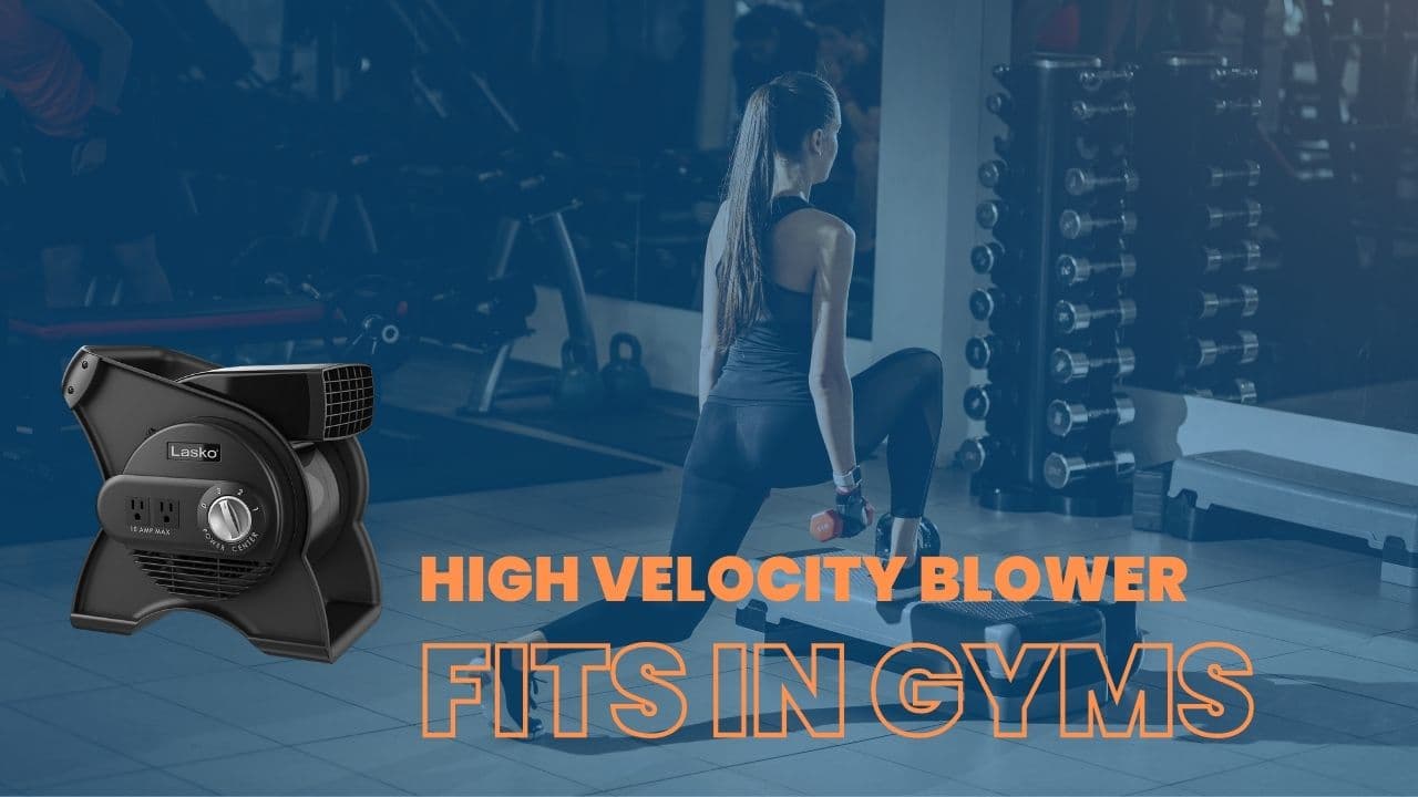 8 Best Fans of GYMS: Keep You Cool and Focused on Your Workouts ...