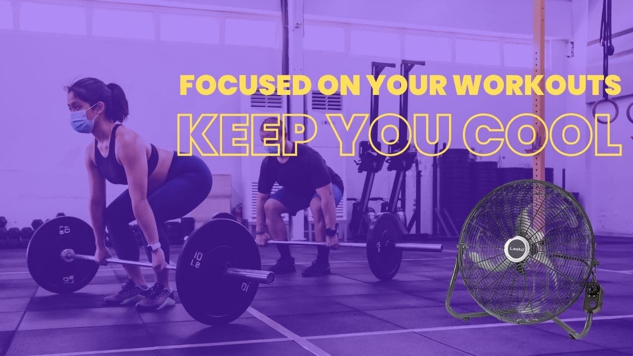 8 Best Fans of GYMS: Keep You Cool and Focused on Your Workouts ...
