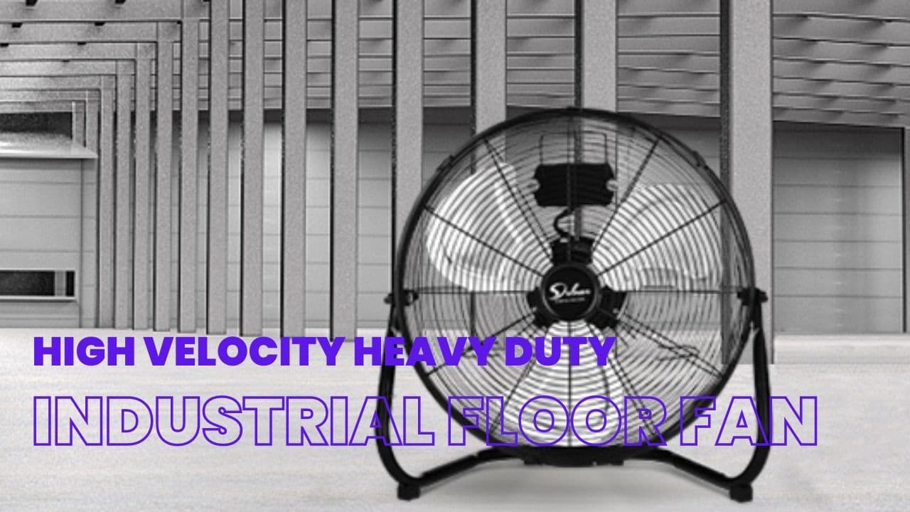 8 Best Fans of GYMS: Keep You Cool and Focused on Your Workouts ...