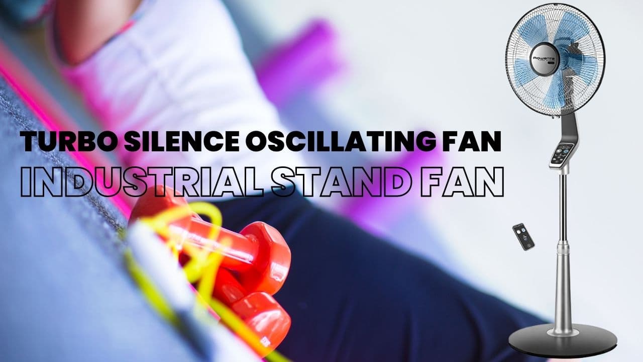 8 Best Fans of GYMS: Keep You Cool and Focused on Your Workouts ...